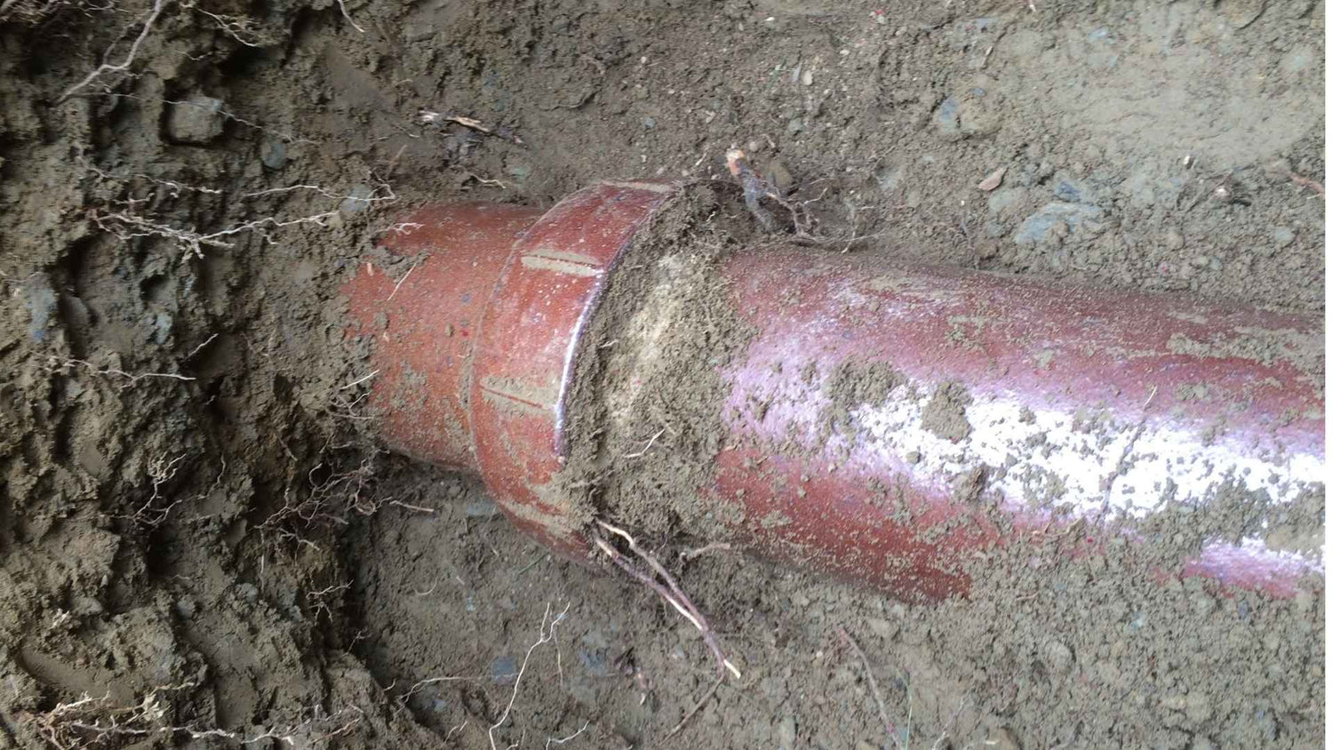 Avoid Costly Clogs In Ground Drainage and An Easy Fix – GutterBrush ...